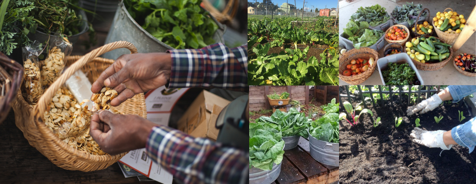 City Slicker Farms - Seed Fund Grants