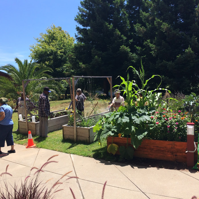 City Slicker Farms - Seed Fund Grants