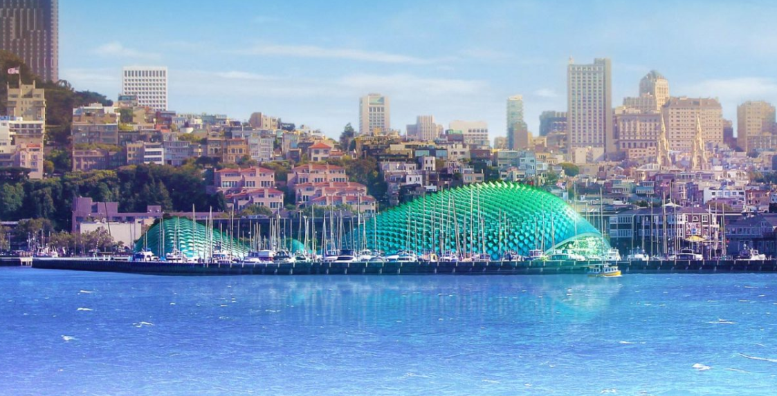 Bay.org - Seed Fund Grants